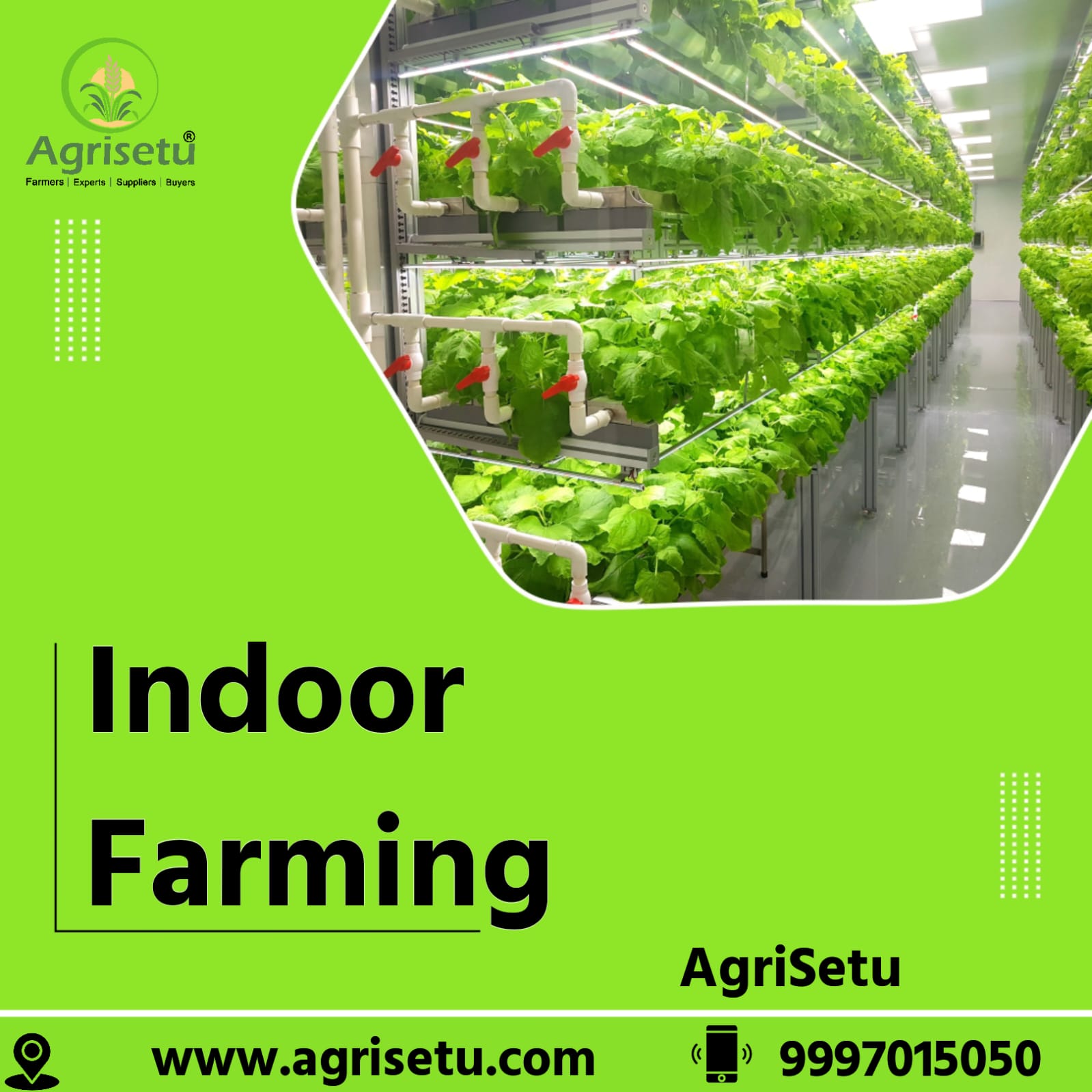 Future of food production in indoor farming - Agrisetu