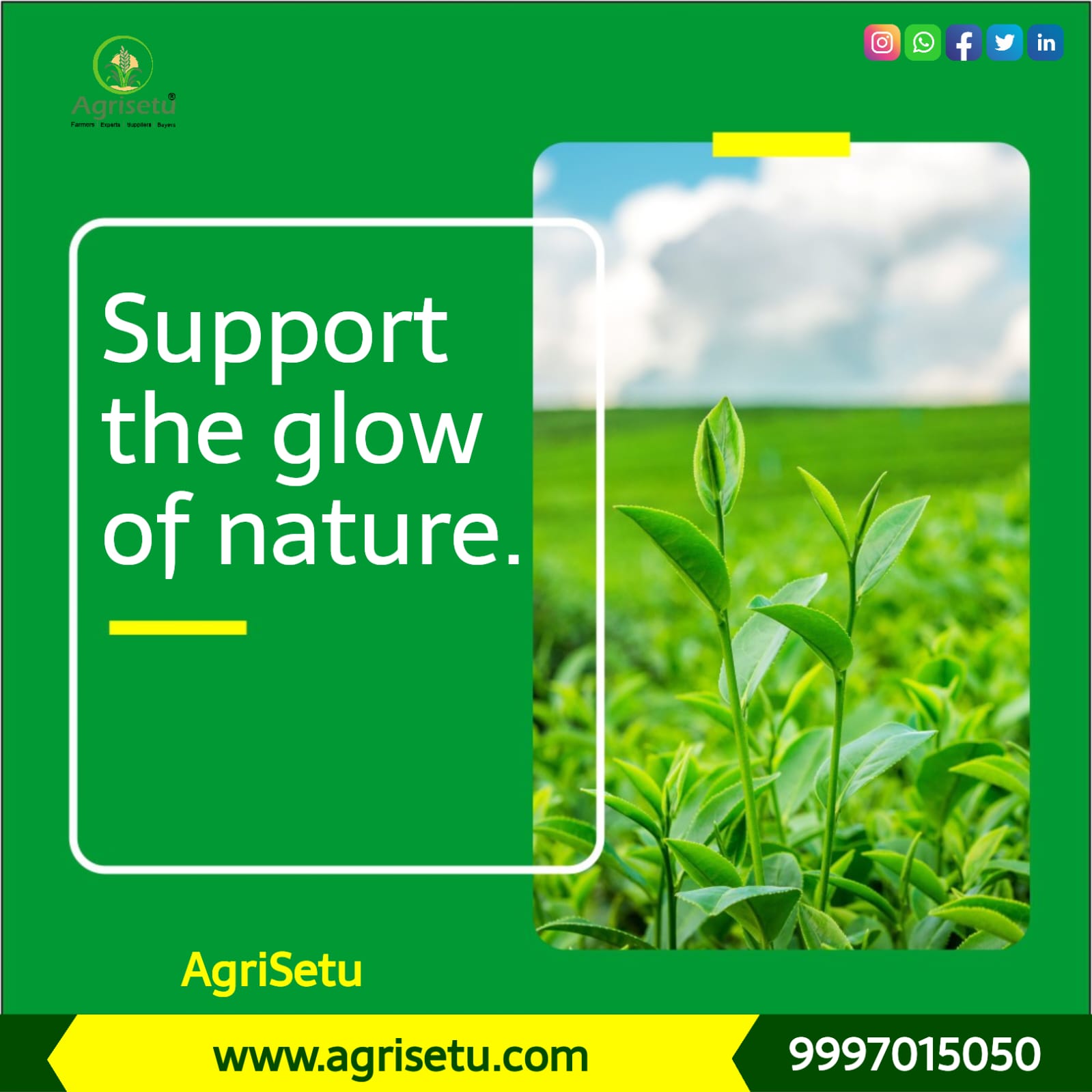 The Benefits of Organic Farming: A Sustainable Approach to Agriculture ...